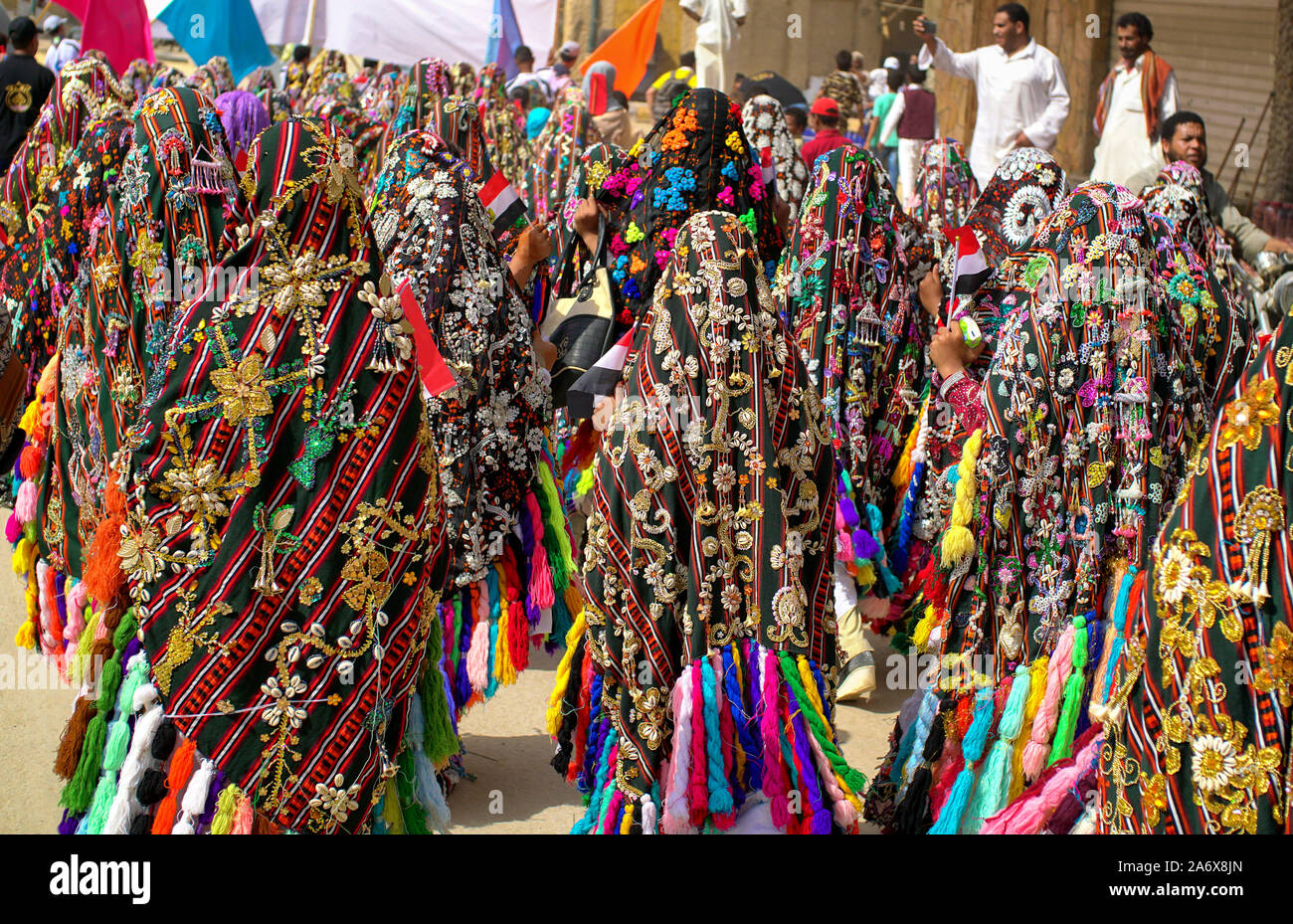 Siwan female students parade to celebrate the date palm harvest ...