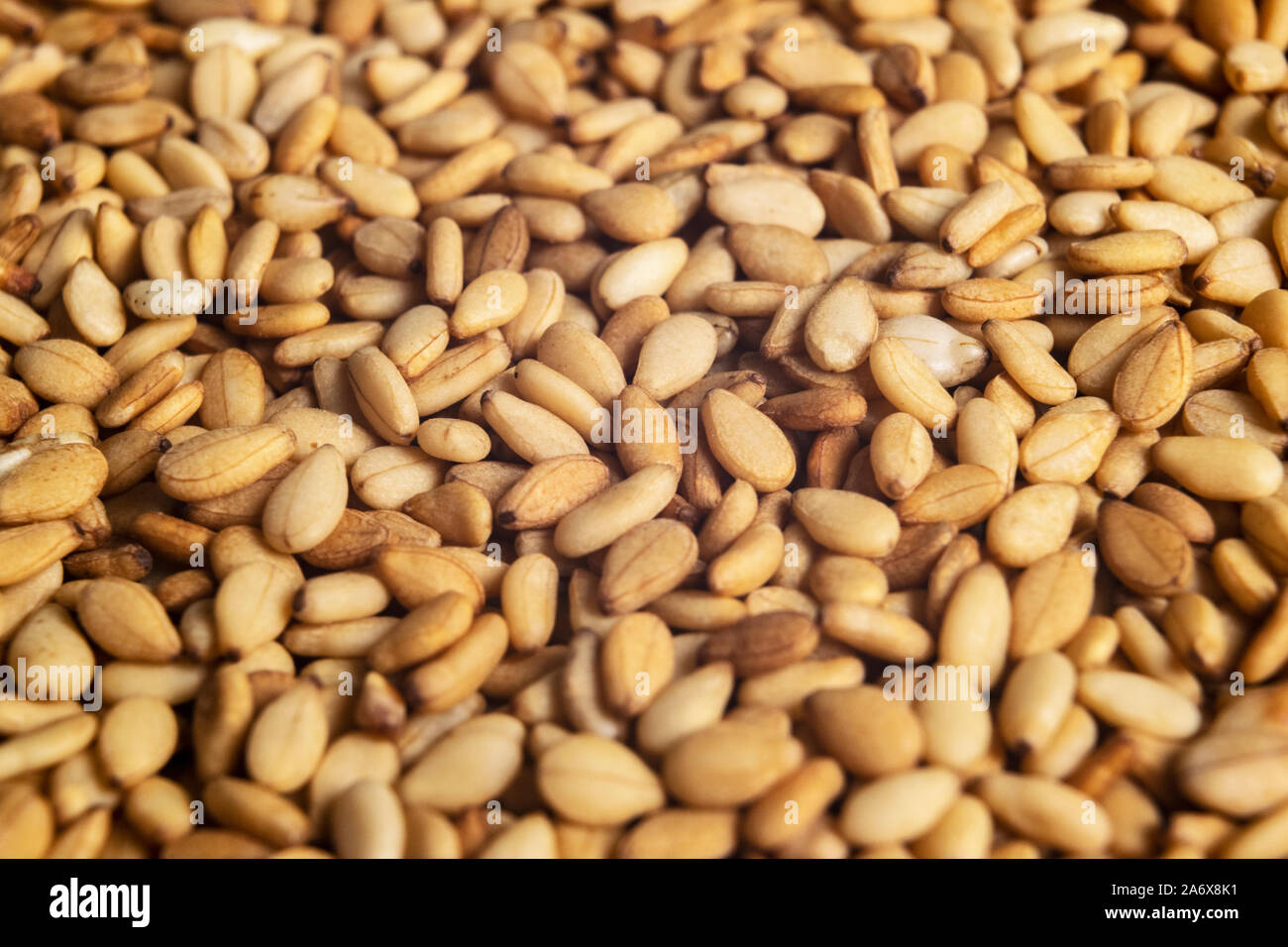 Macro shot of a raw white sesame seed background. Top view. Food ...