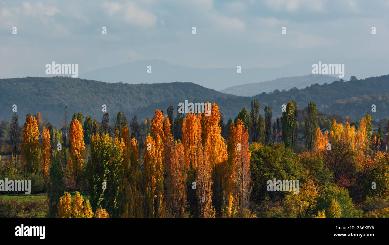 Foothill trees hi-res stock photography and images - Alamy