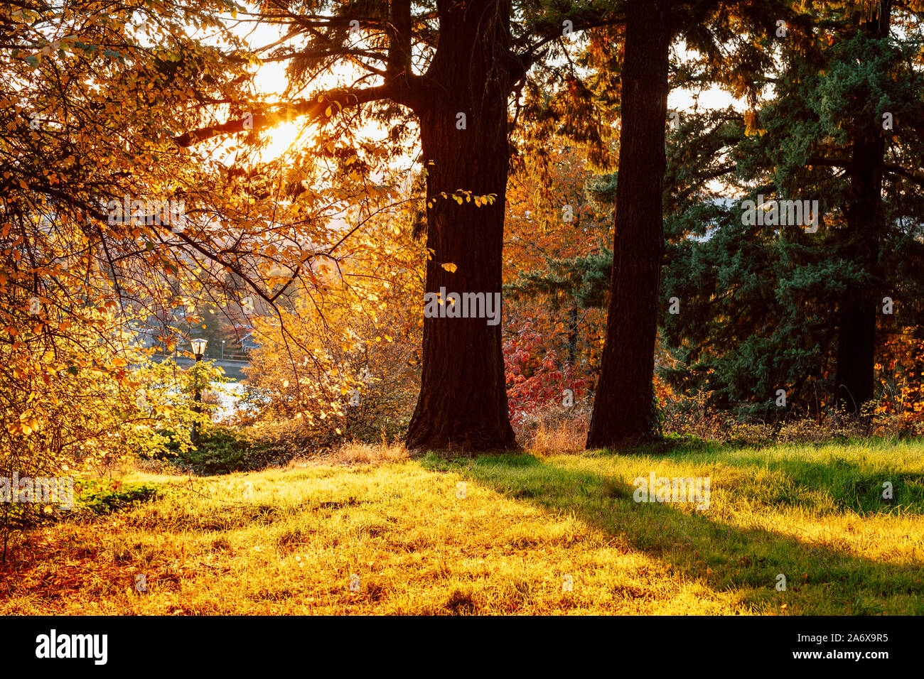 A sunny afternoon stroll at Mt. Tabor Park in Portland, Oregon Stock ...