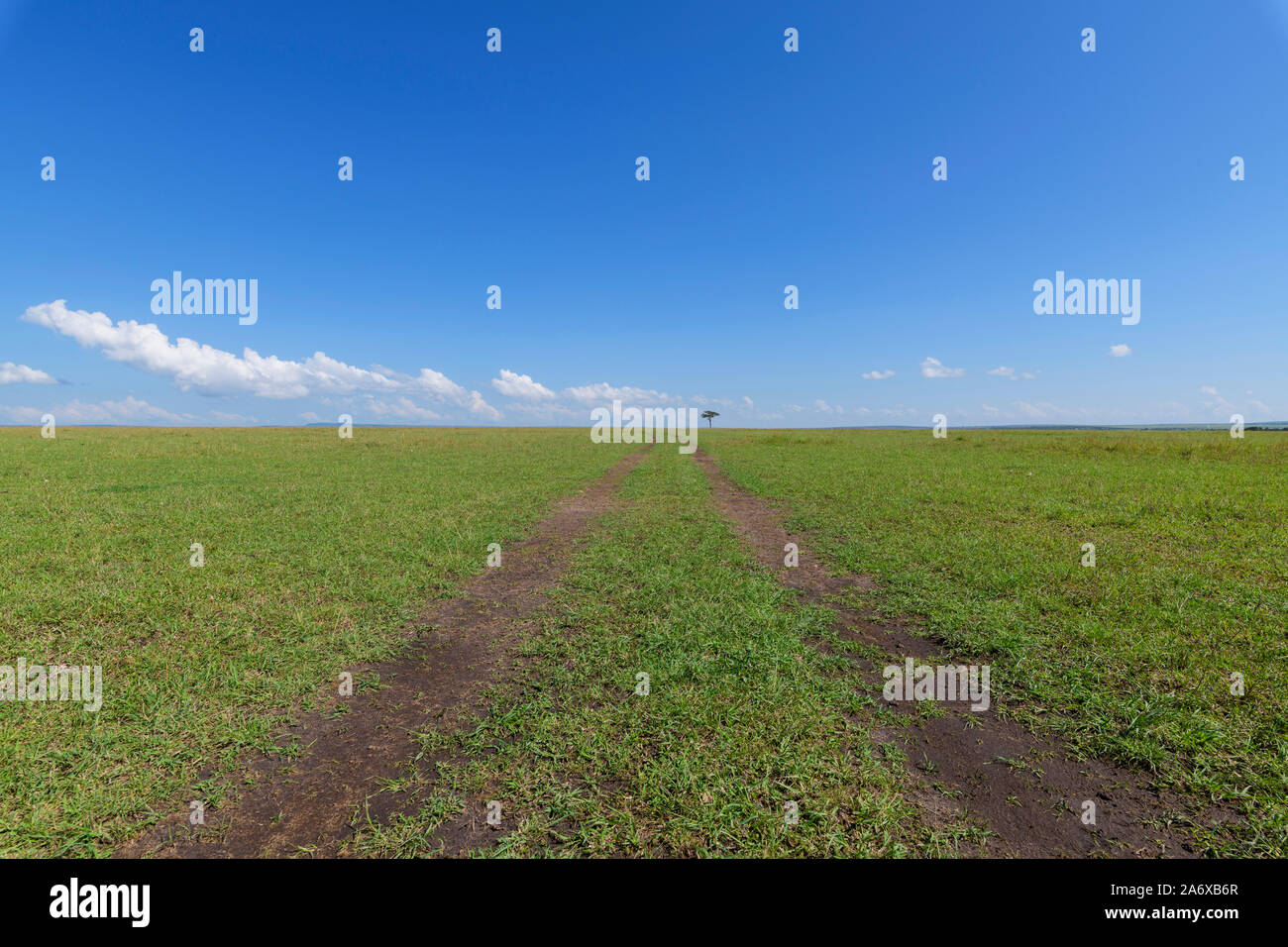 Connection with kenya hi-res stock photography and images - Alamy