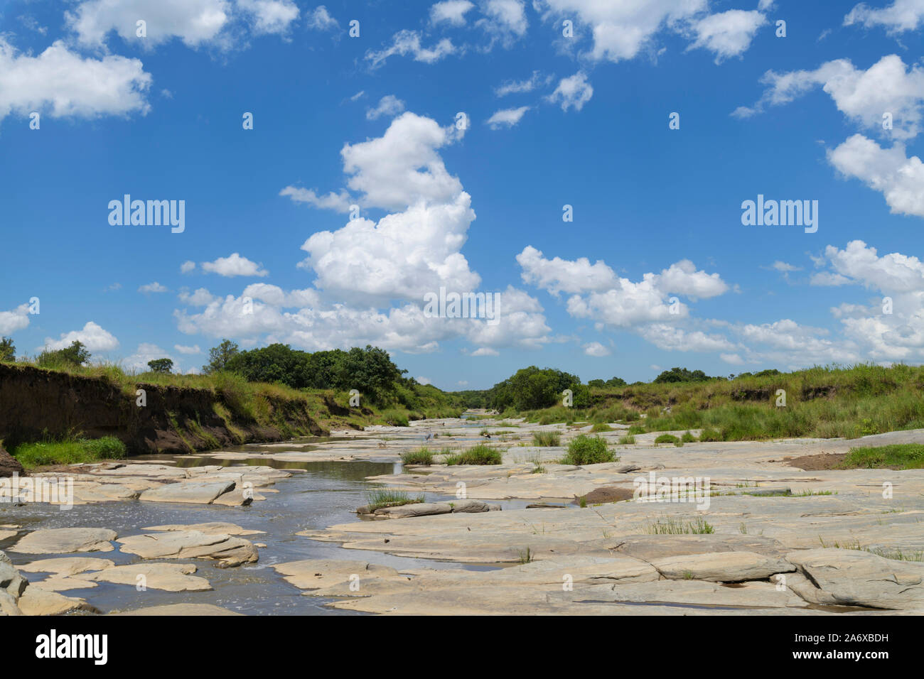 River in Masai Mara savannah, Masai Mara National Reserve, Kenya ...