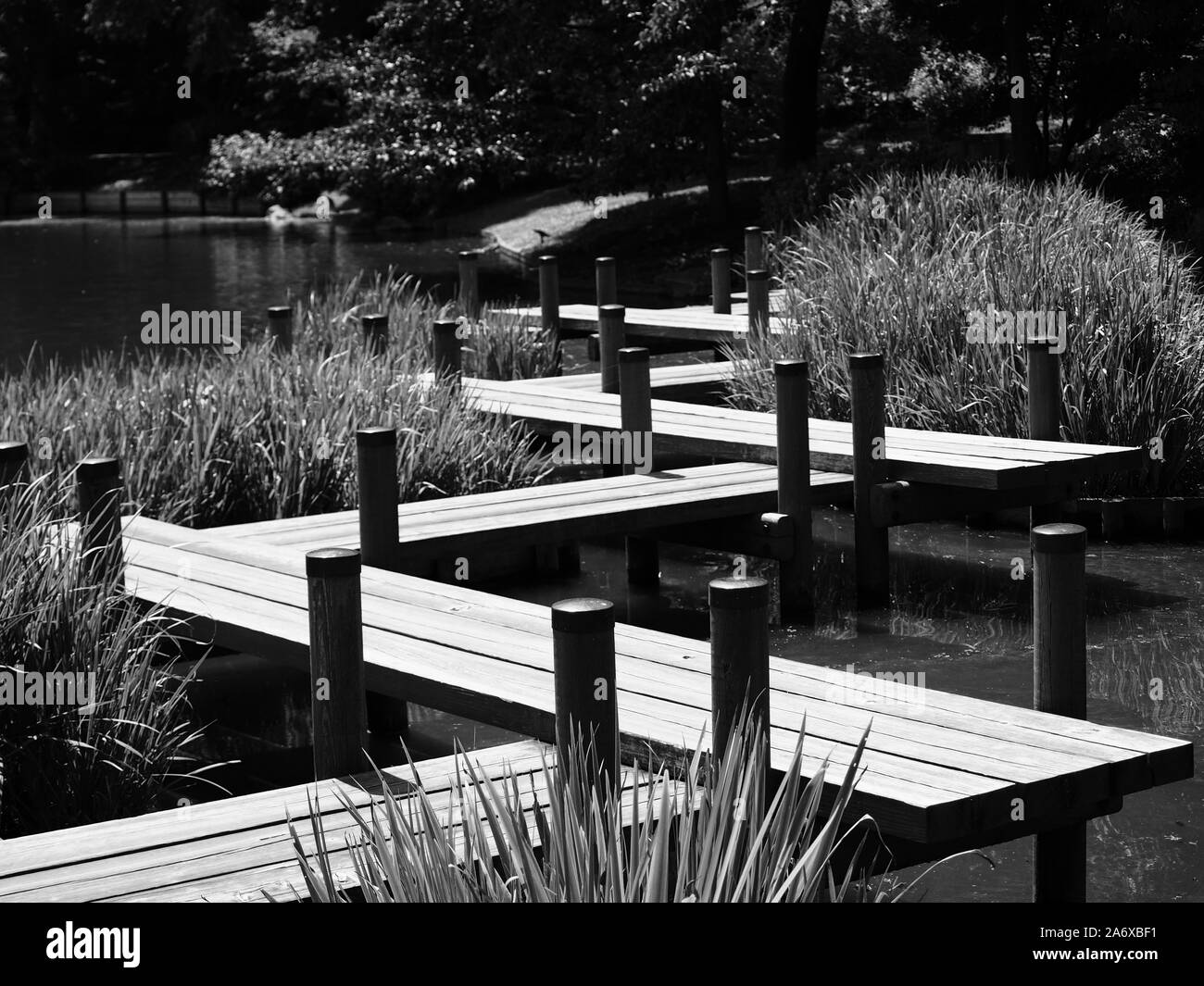 A greyscale shot of a bridge over a river in a park full of different ...