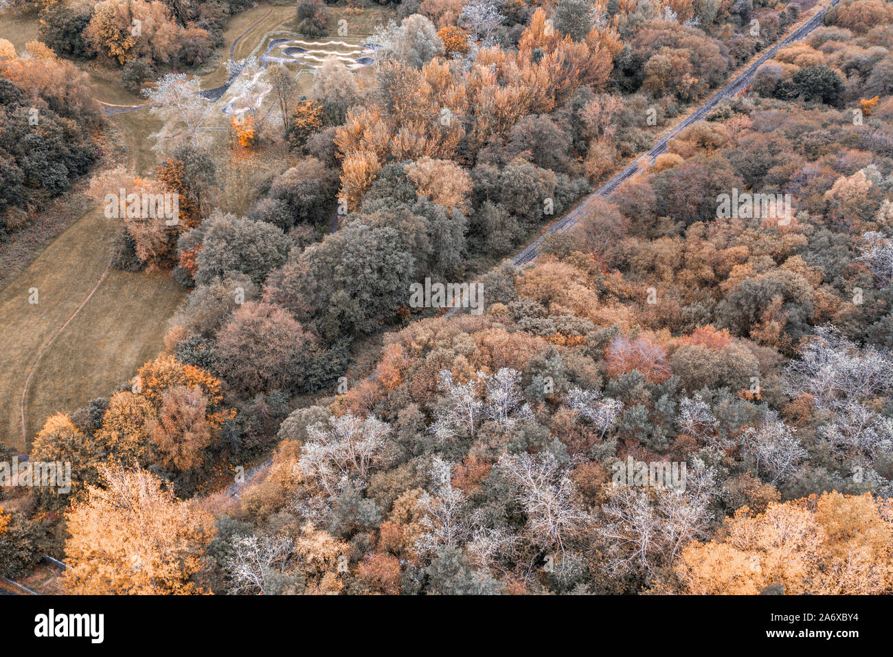 Aerial view of tree hi-res stock photography and images - Alamy