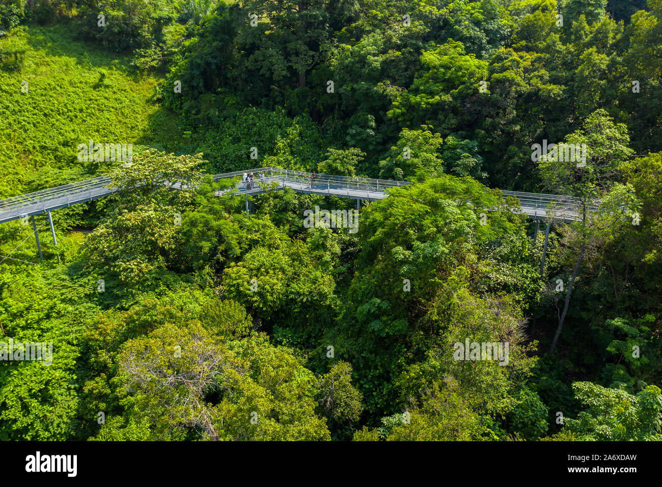 View of Southern Ridges bridges for people to walk and enjoy the beauty ...
