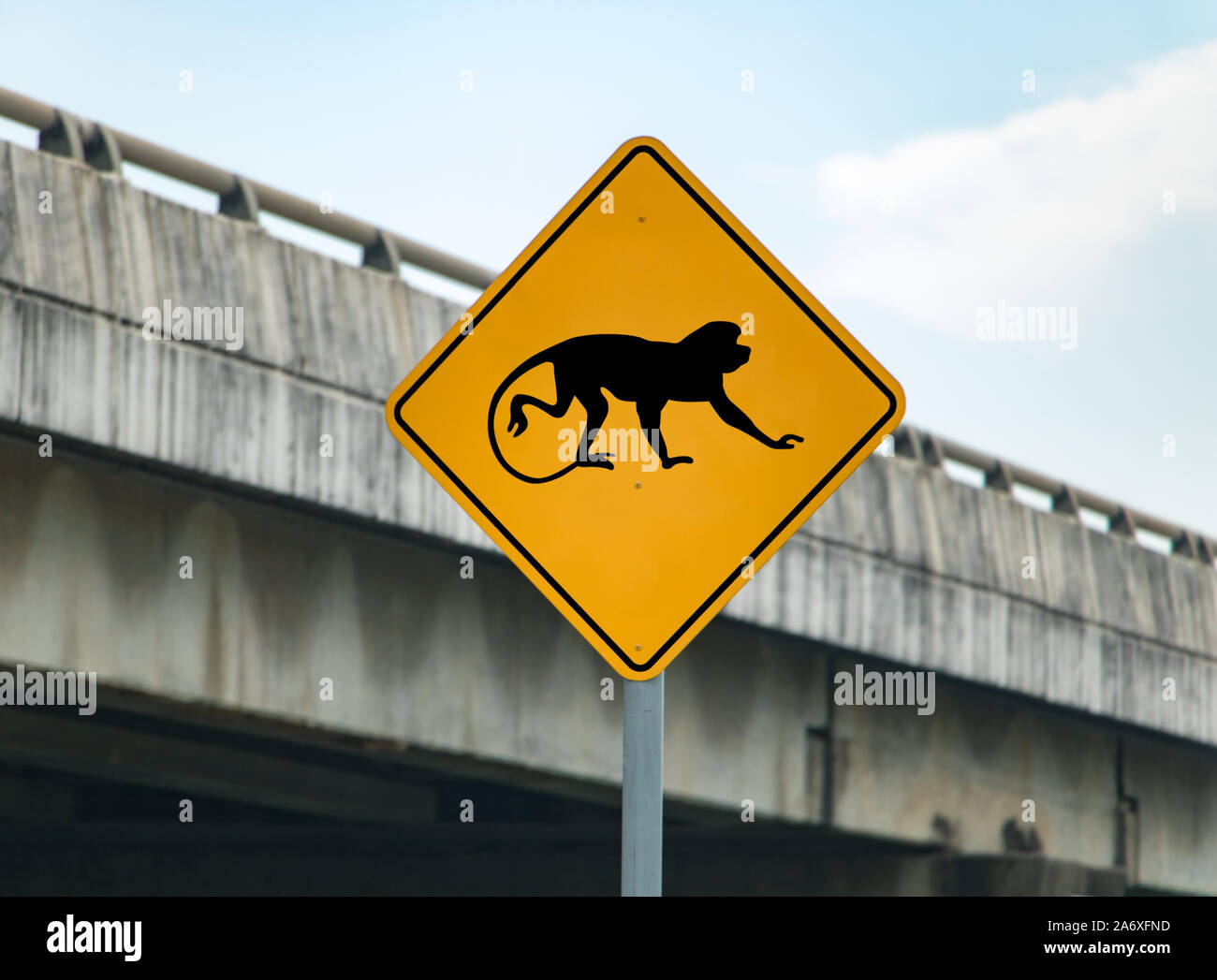 Monkey crossing sign hi-res stock photography and images - Alamy