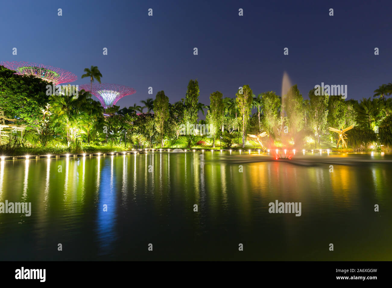 Beautiful night garden in singapore and supertree grove forest ...