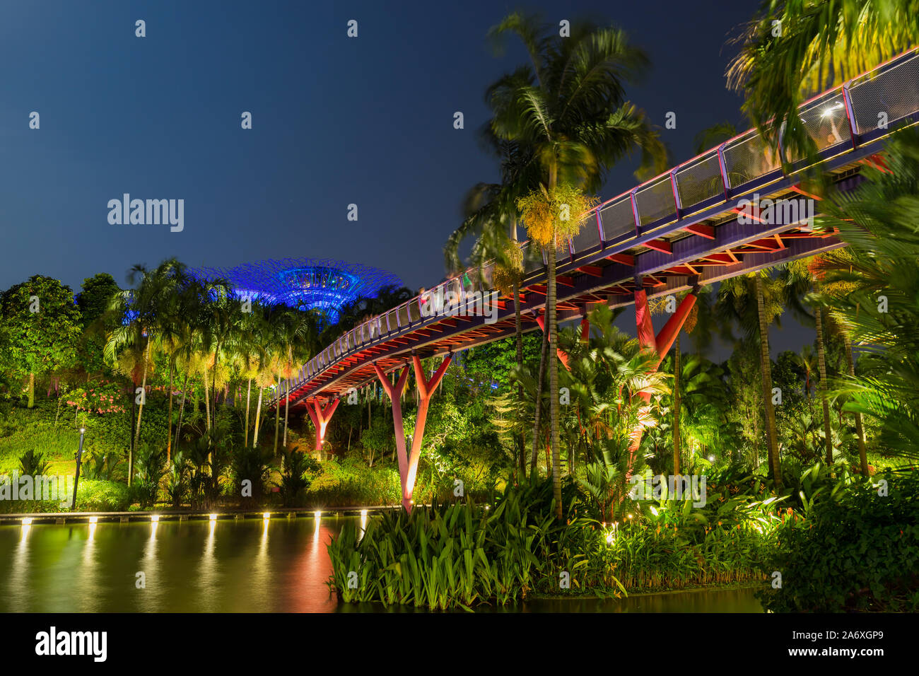 Beautiful night garden in singapore and supertree grove forest ...