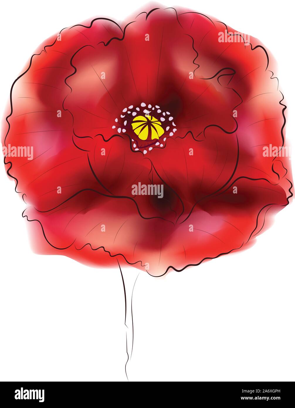Big bright red poppy flower, digital watercolor effect made with ...