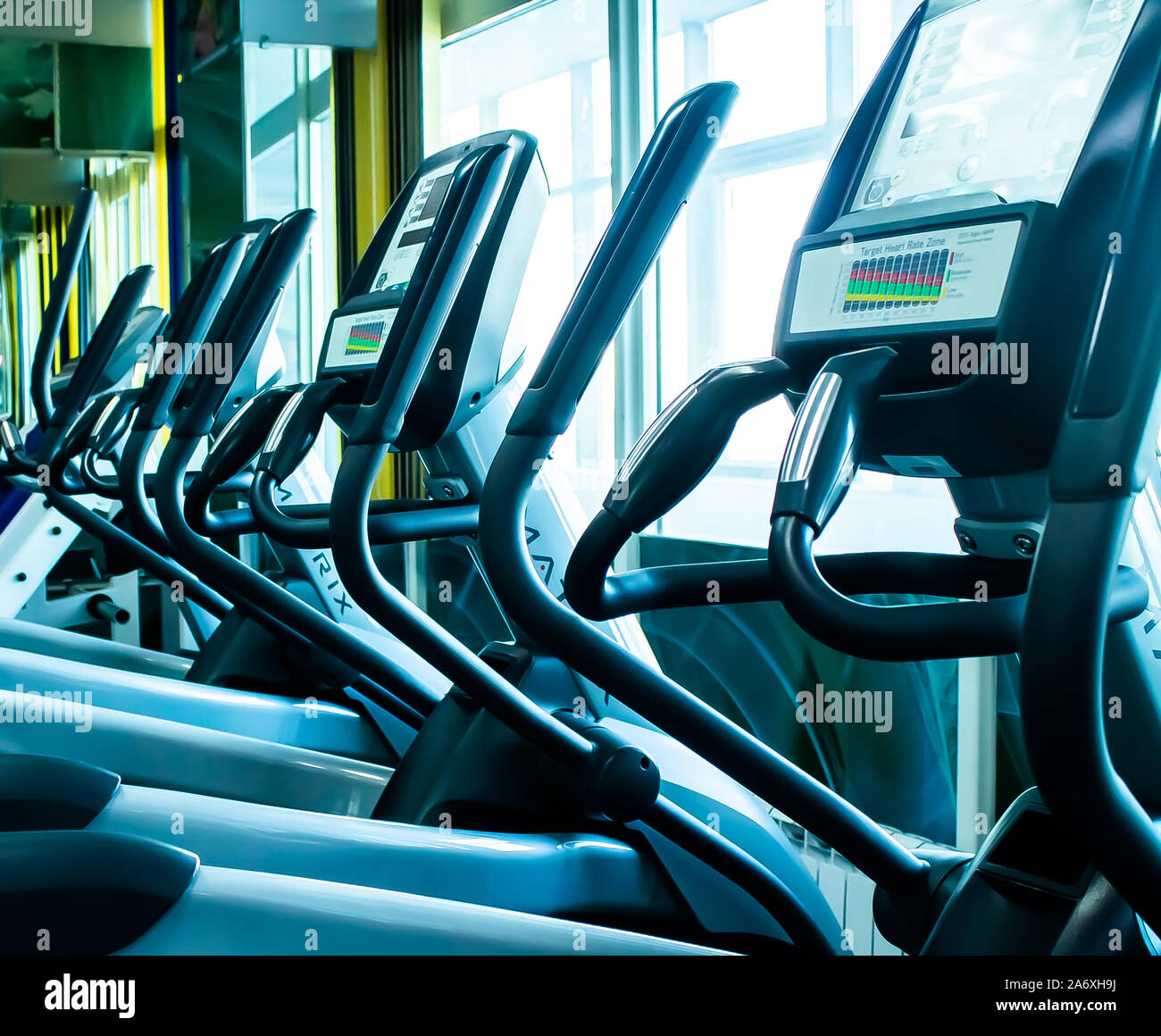 Elevator trainer of loyal legs against the backdrop of a fitness room ...