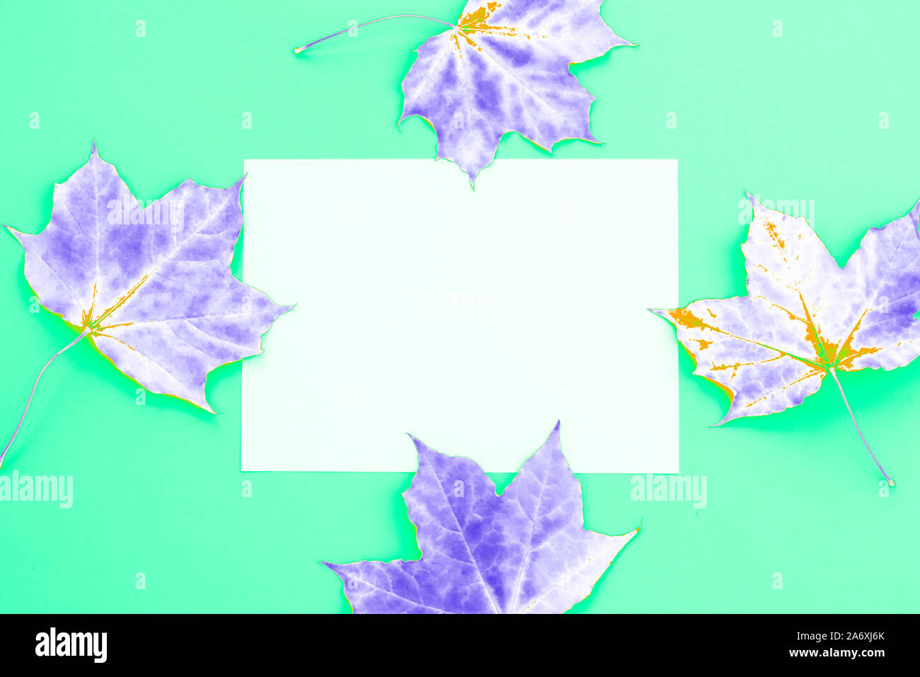 Blank paper on a green background with maple leaves Stock Photo - Alamy