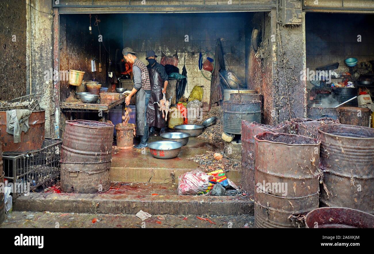 Chicken pluckers in a food market in Dali ancient city, Yunnan province ...
