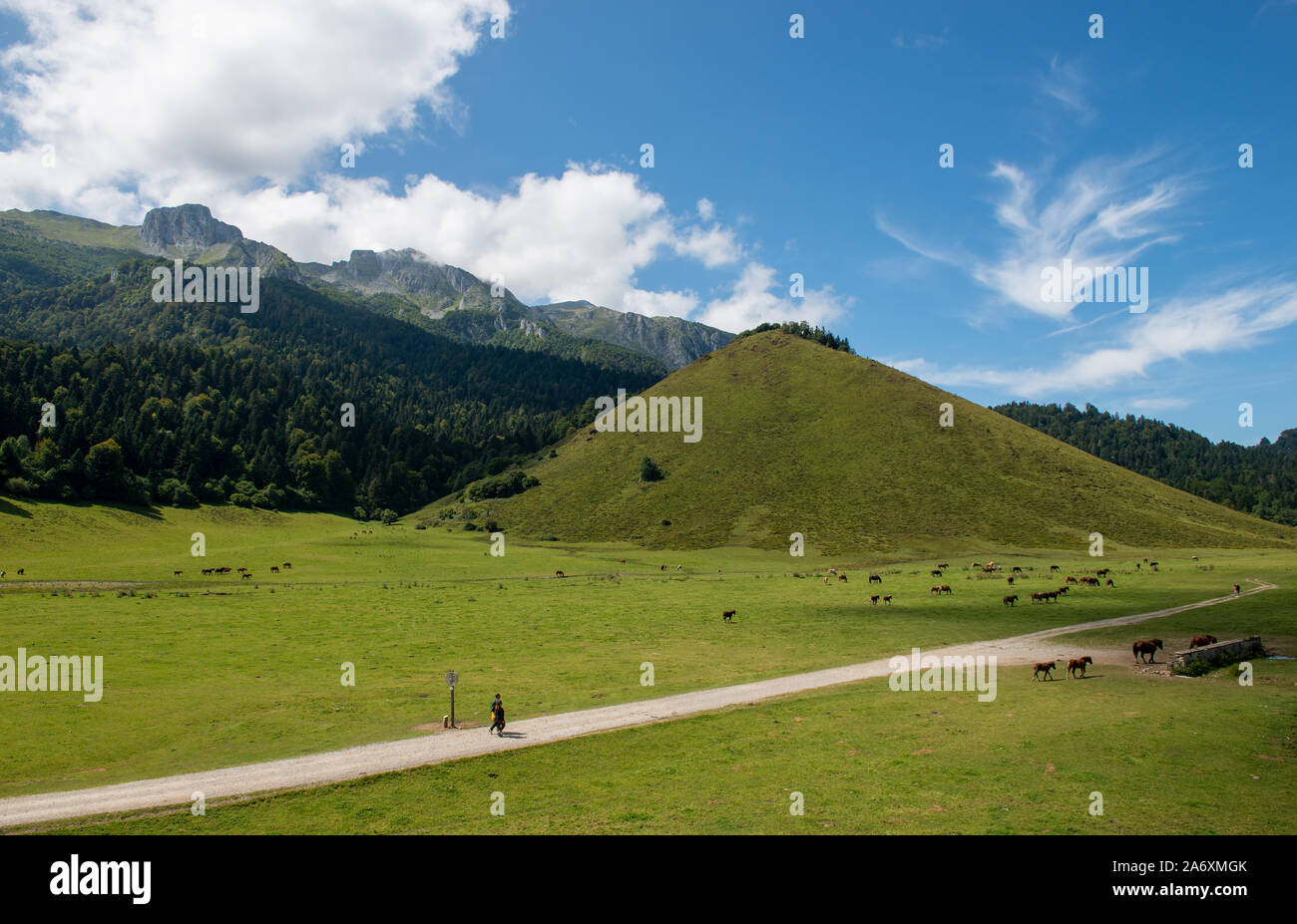Benou hi-res stock photography and images - Alamy