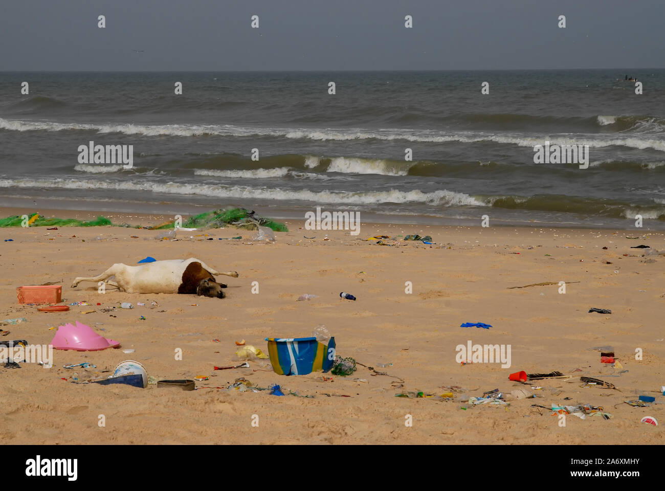 Senegal pollution hi-res stock photography and images - Alamy
