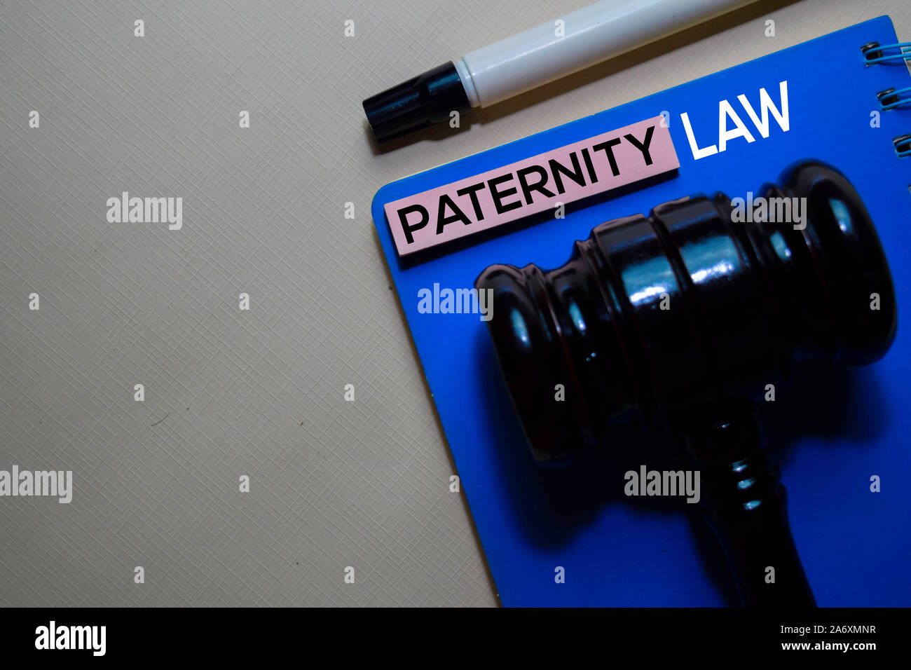 Paternity Law text on sticky notes and gavel isolated on office desk ...