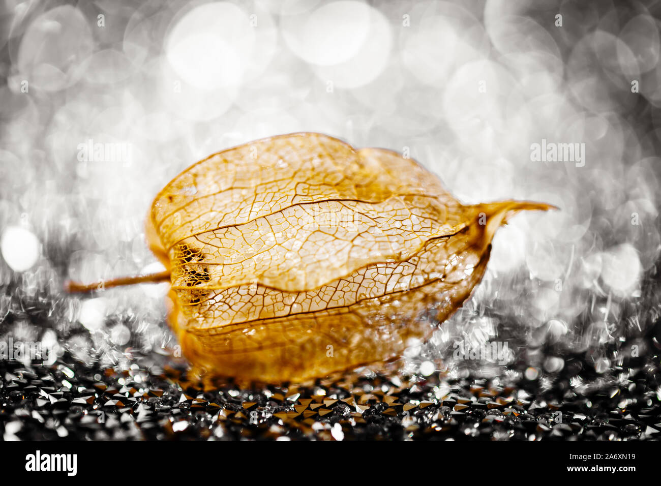 Rotten gooseberry hi-res stock photography and images - Alamy