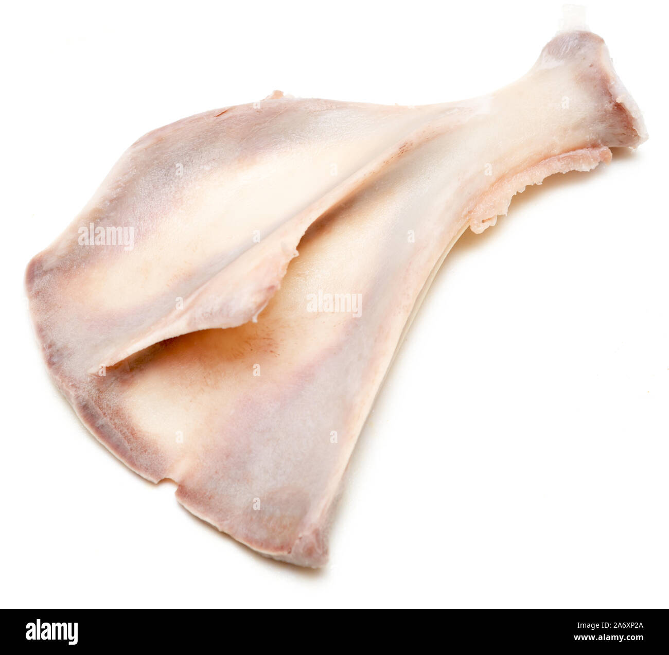 Shoulder Bone Cut Out Stock Images & Pictures - Alamy