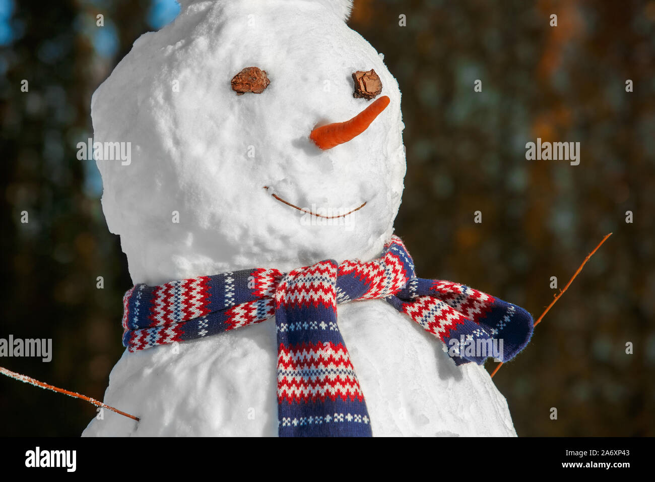 Real snowman hi-res stock photography and images - Alamy