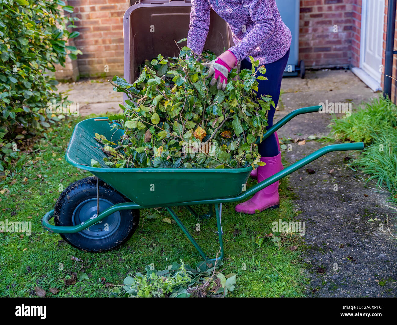 Tidy garden hi-res stock photography and images - Alamy