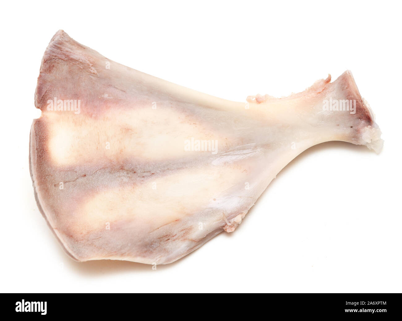 Shoulder blade leg hi-res stock photography and images - Alamy