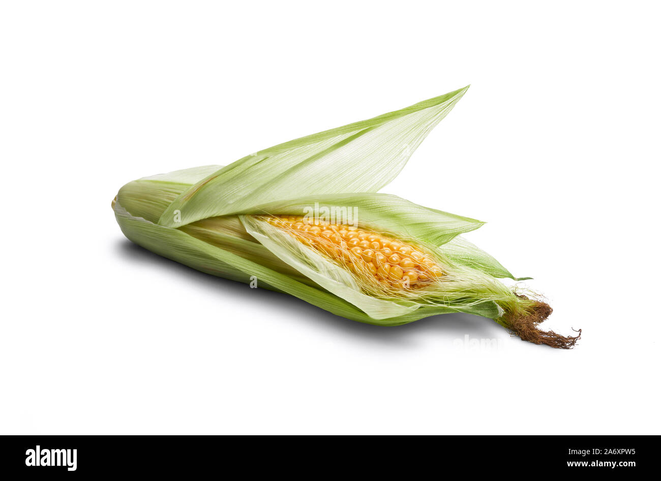 Corn on the cob isolated hi-res stock photography and images - Alamy