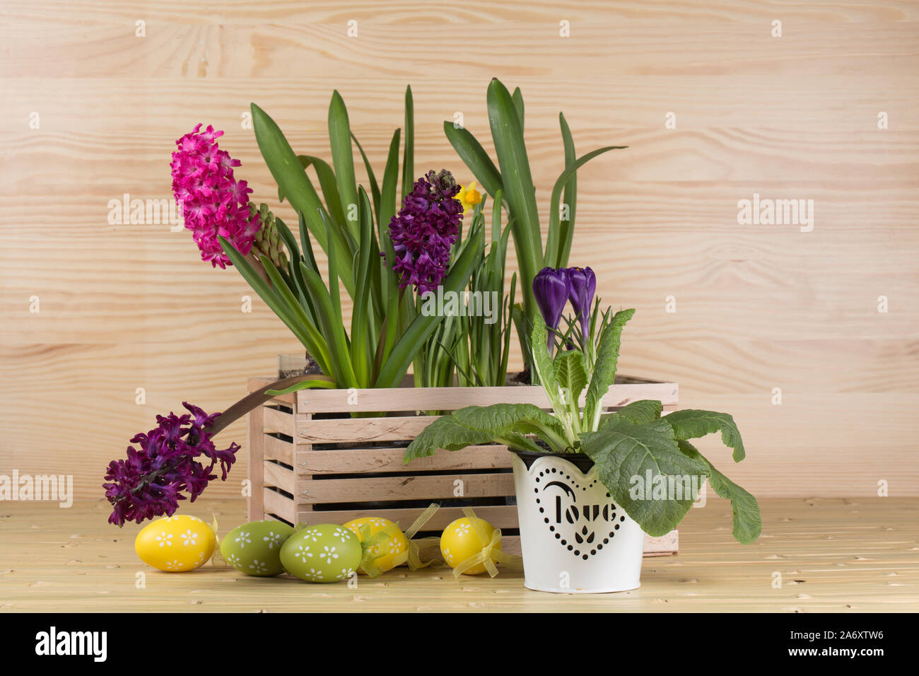 Beautiful easter background with fresh spring flower Stock Photo - Alamy