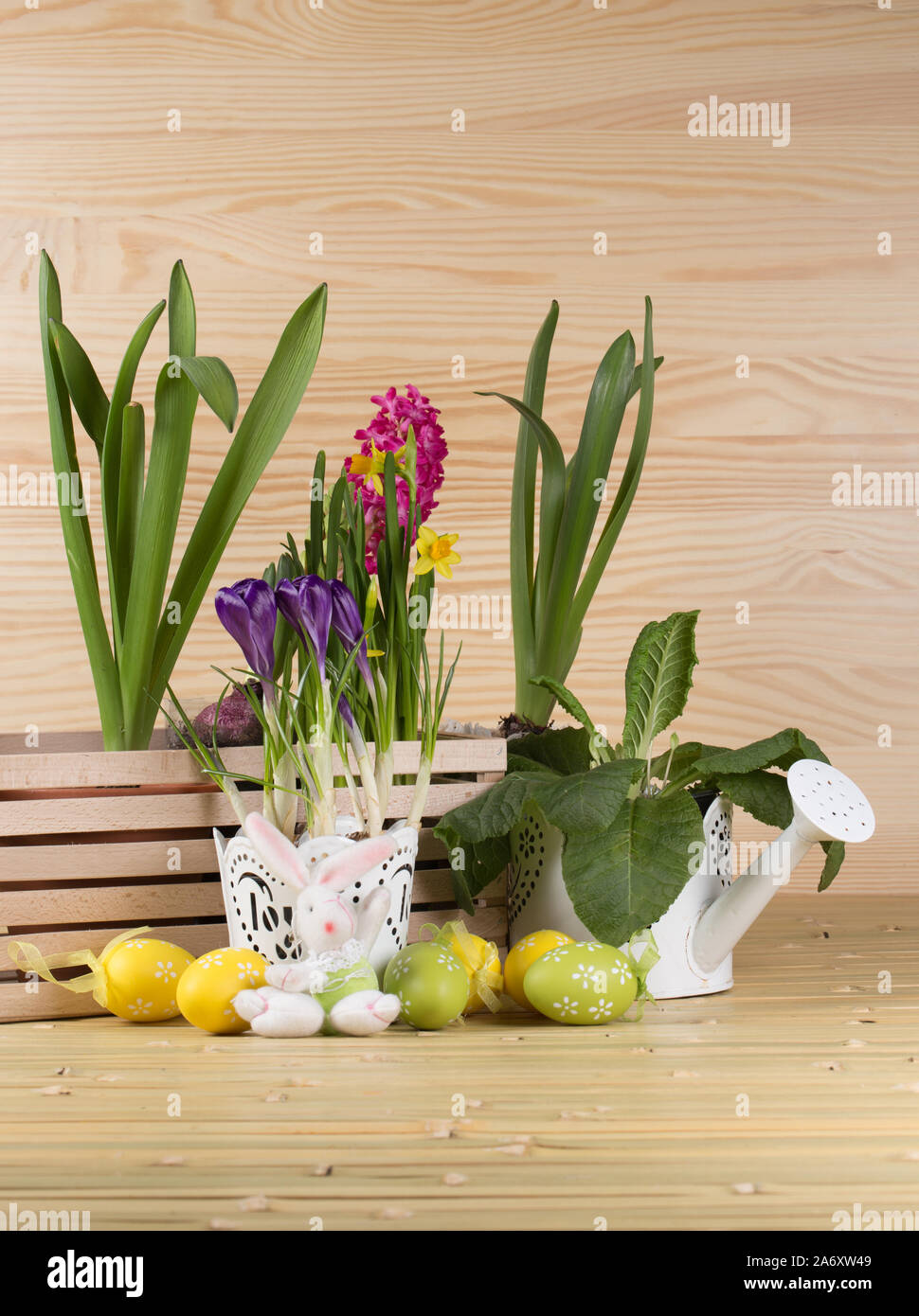 Beautiful easter background with fresh spring flower Stock Photo - Alamy