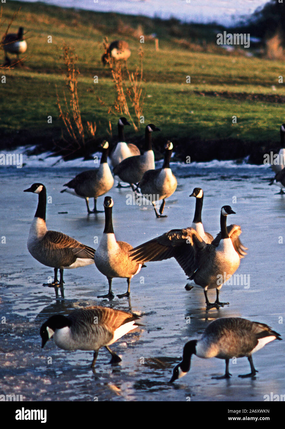 Photographes for calendars hi-res stock photography and images - Alamy