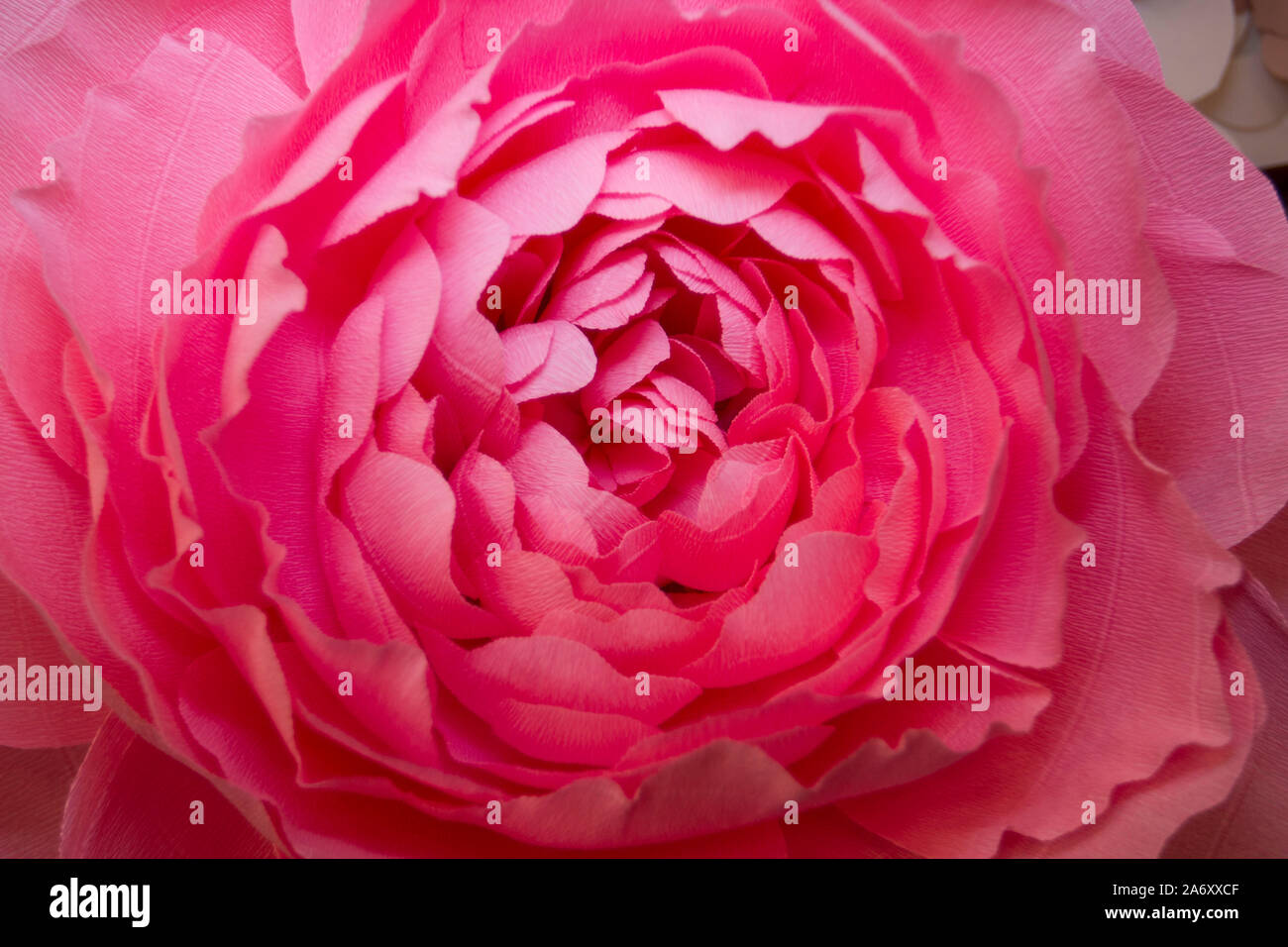 Artificial paper flowers made by hand. Beautiful decor Stock Photo - Alamy