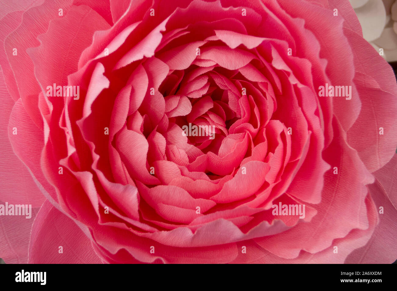 Artificial paper flowers made by hand. Beautiful decor Stock Photo - Alamy