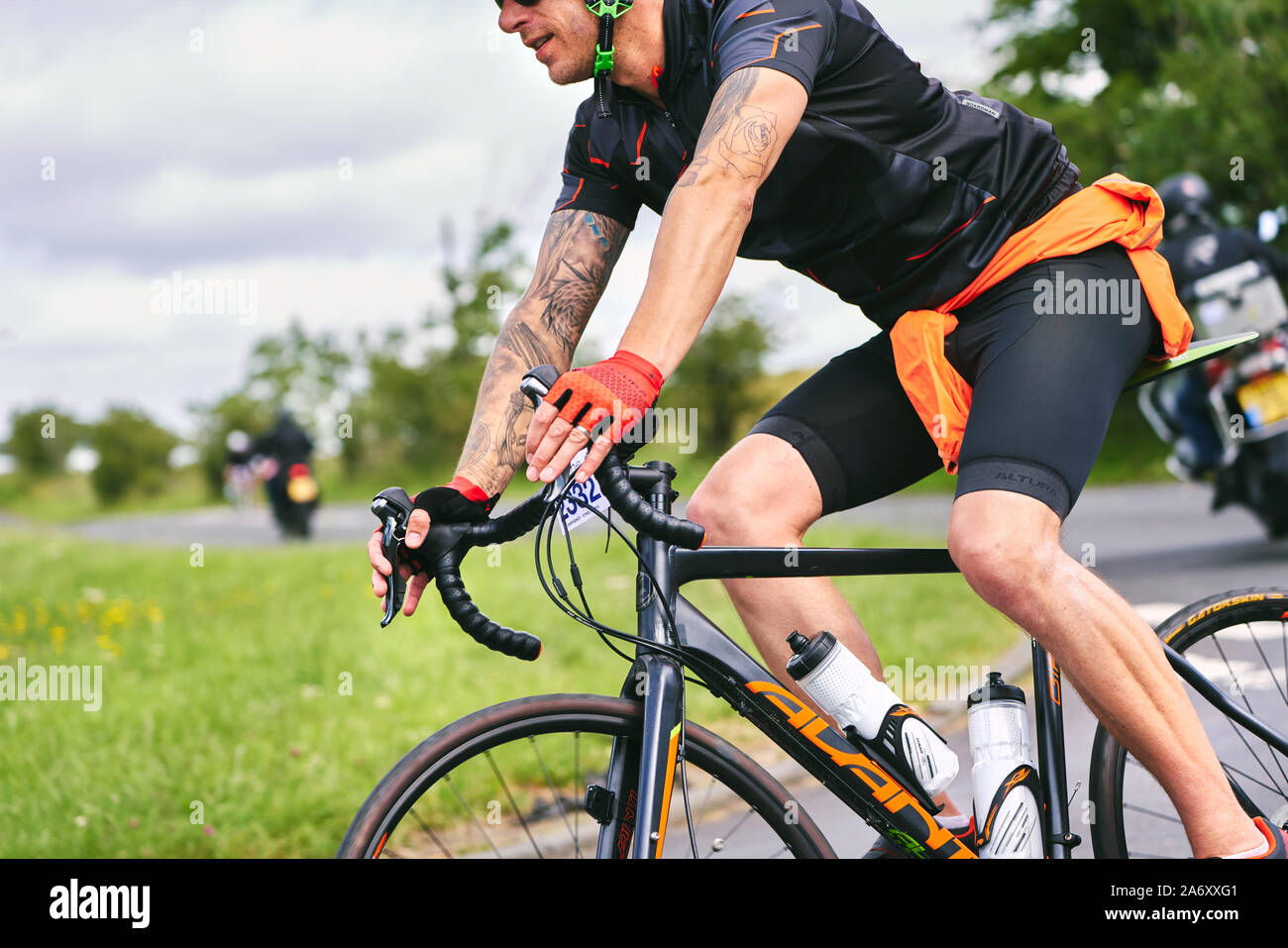 ROTHBURY, NEWCASTLE UPON TYNE, ENGLAND, UK - JULY 06, 2019: A closeup ...