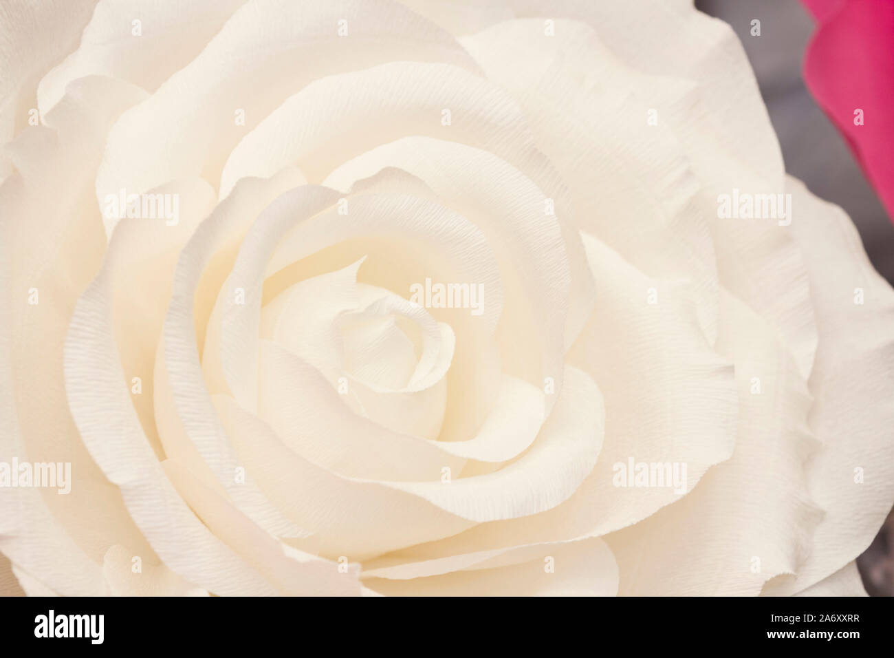 Artificial paper flowers made by hand. Beautiful decor Stock Photo - Alamy