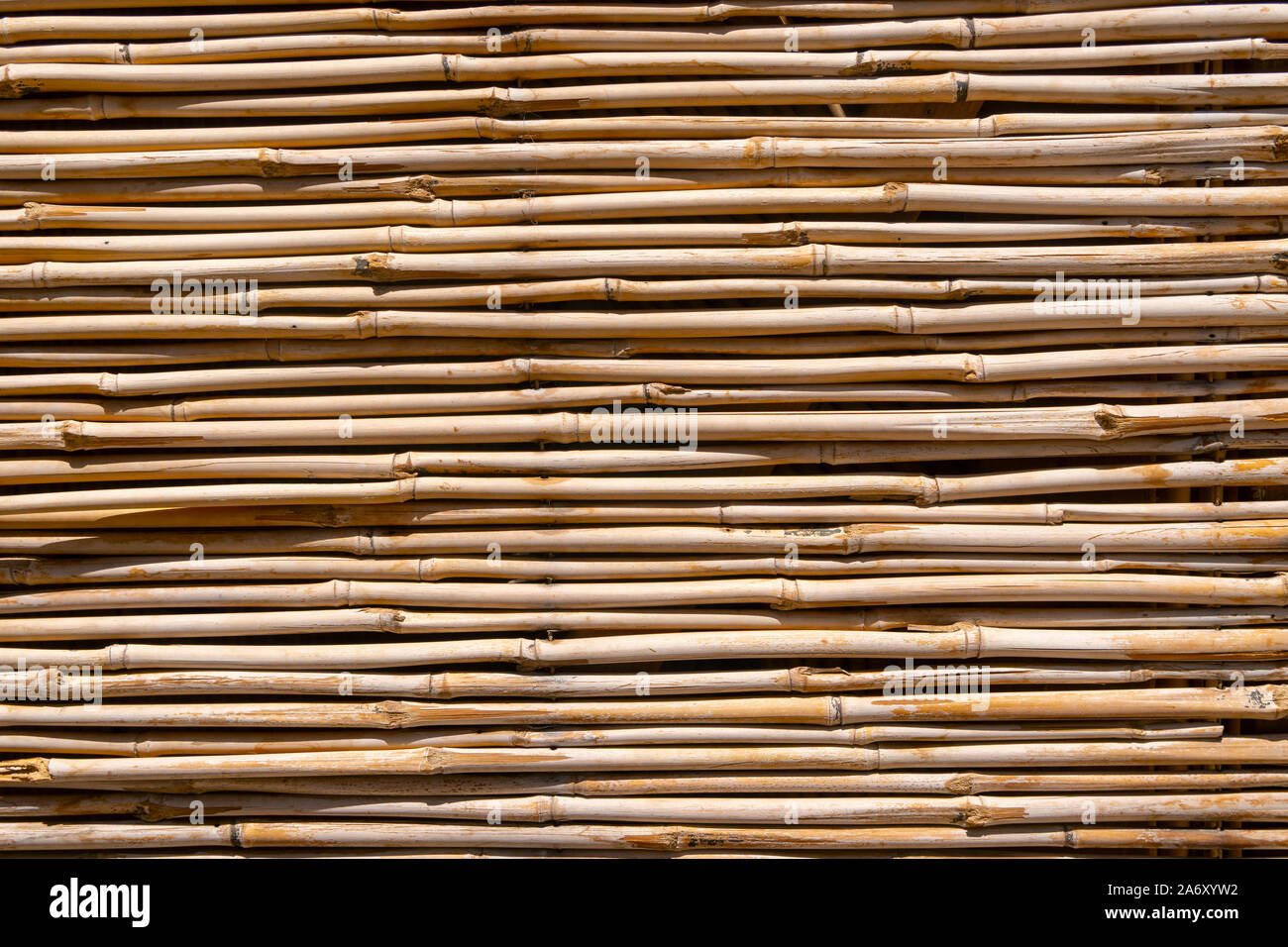 Bamboo trunks hi-res stock photography and images - Alamy