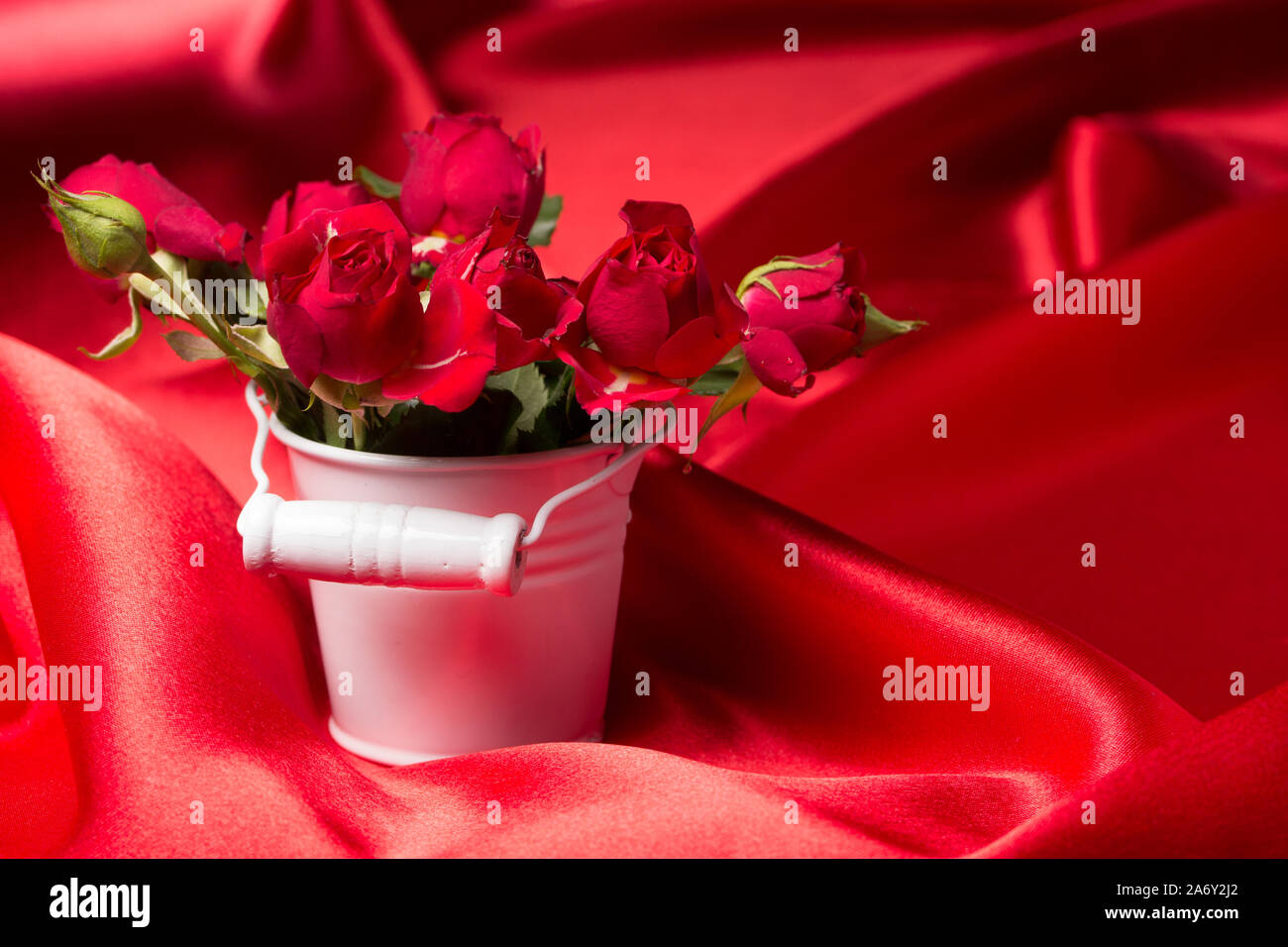 Branch of roses hi-res stock photography and images - Alamy