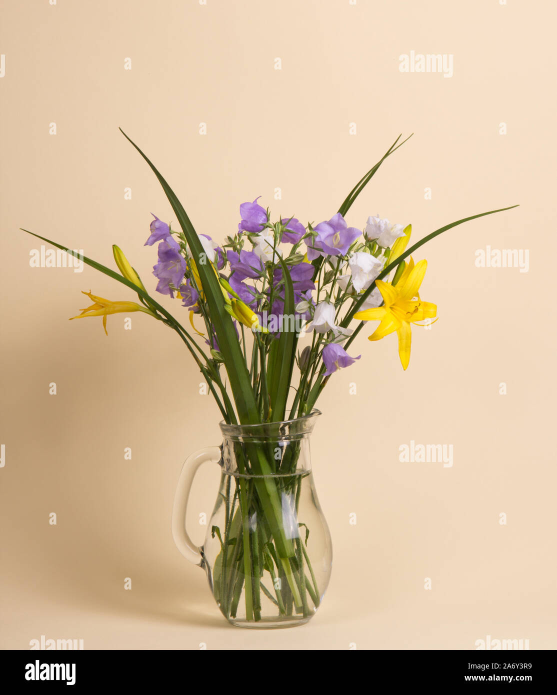 Fresh spring flowers in a transparent jug Stock Photo - Alamy