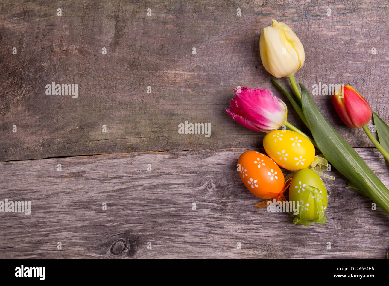 Beautiful easter background with fresh tulips Stock Photo - Alamy