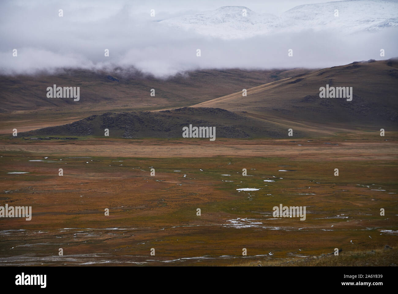 Cold cloudy weather in the steppe area. The Ukok Plateau Of Altai ...