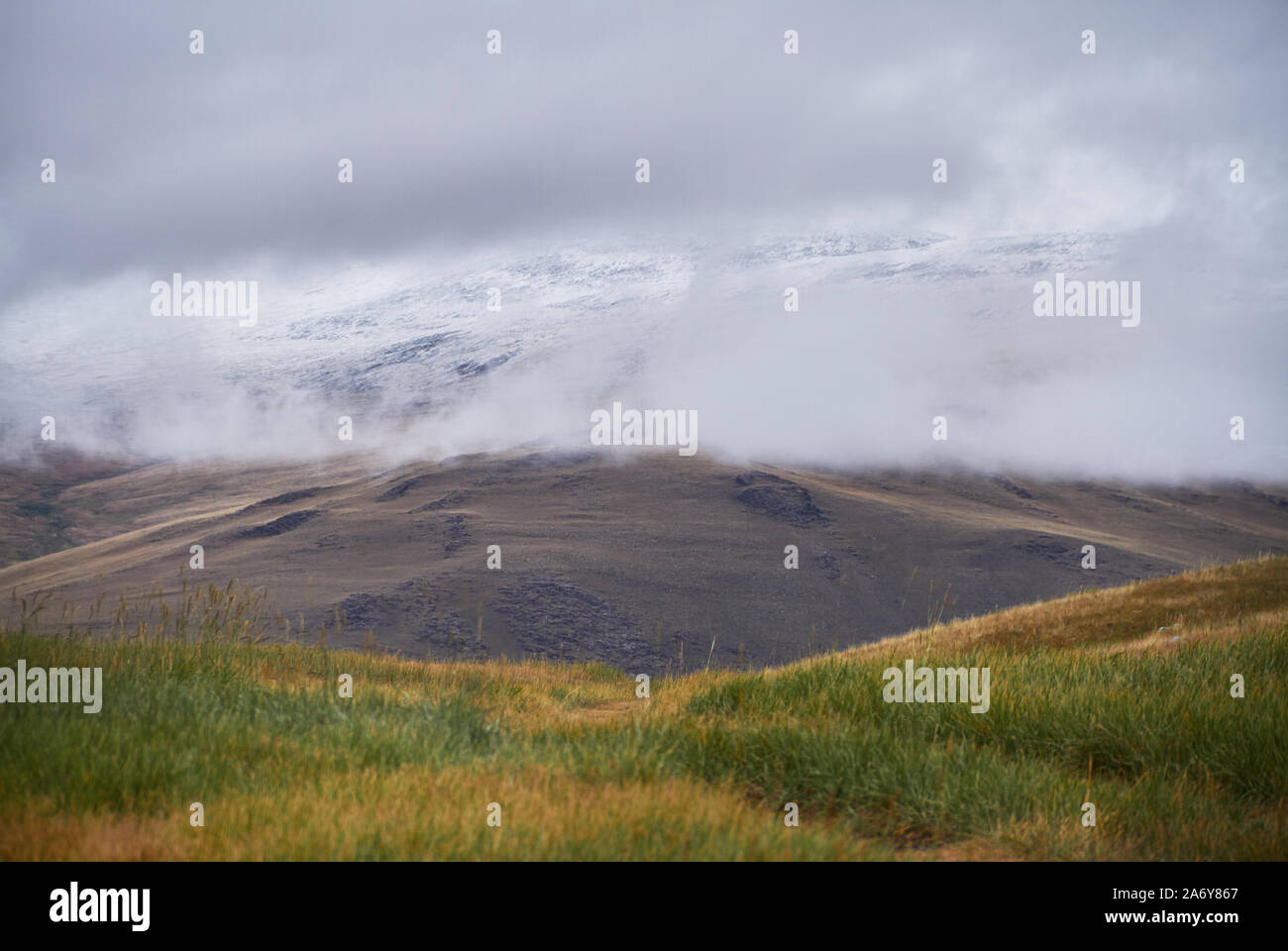 Cold cloudy weather in the steppe area. The Ukok Plateau Of Altai ...