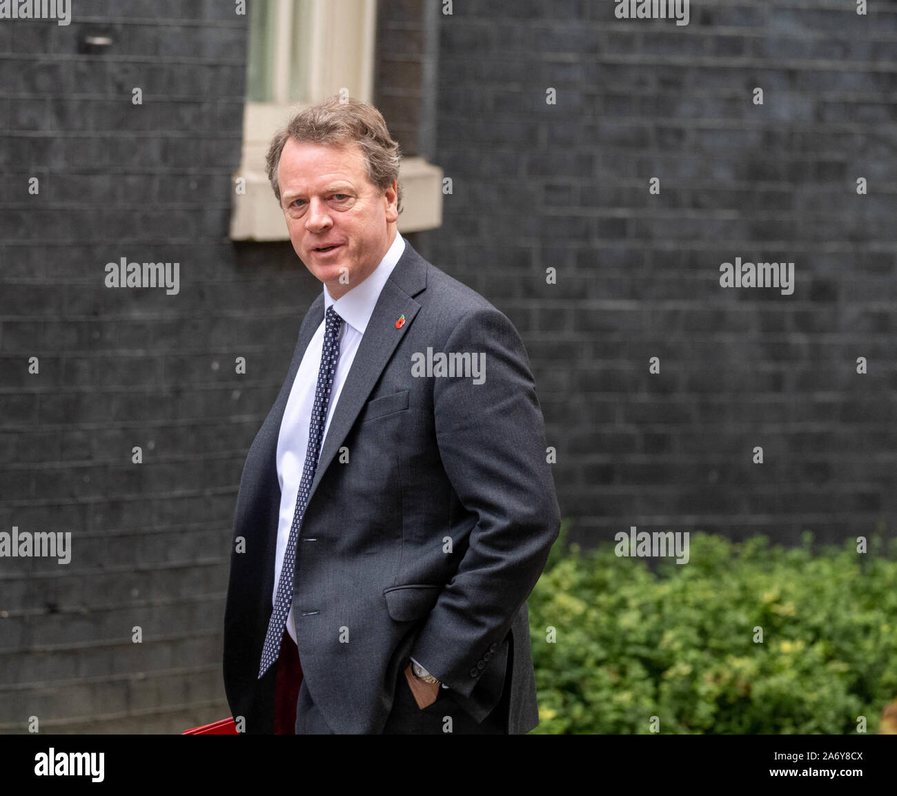 London, UK. 29th Oct, 2019. Alister Jack MP PC Scottish Secretary ...