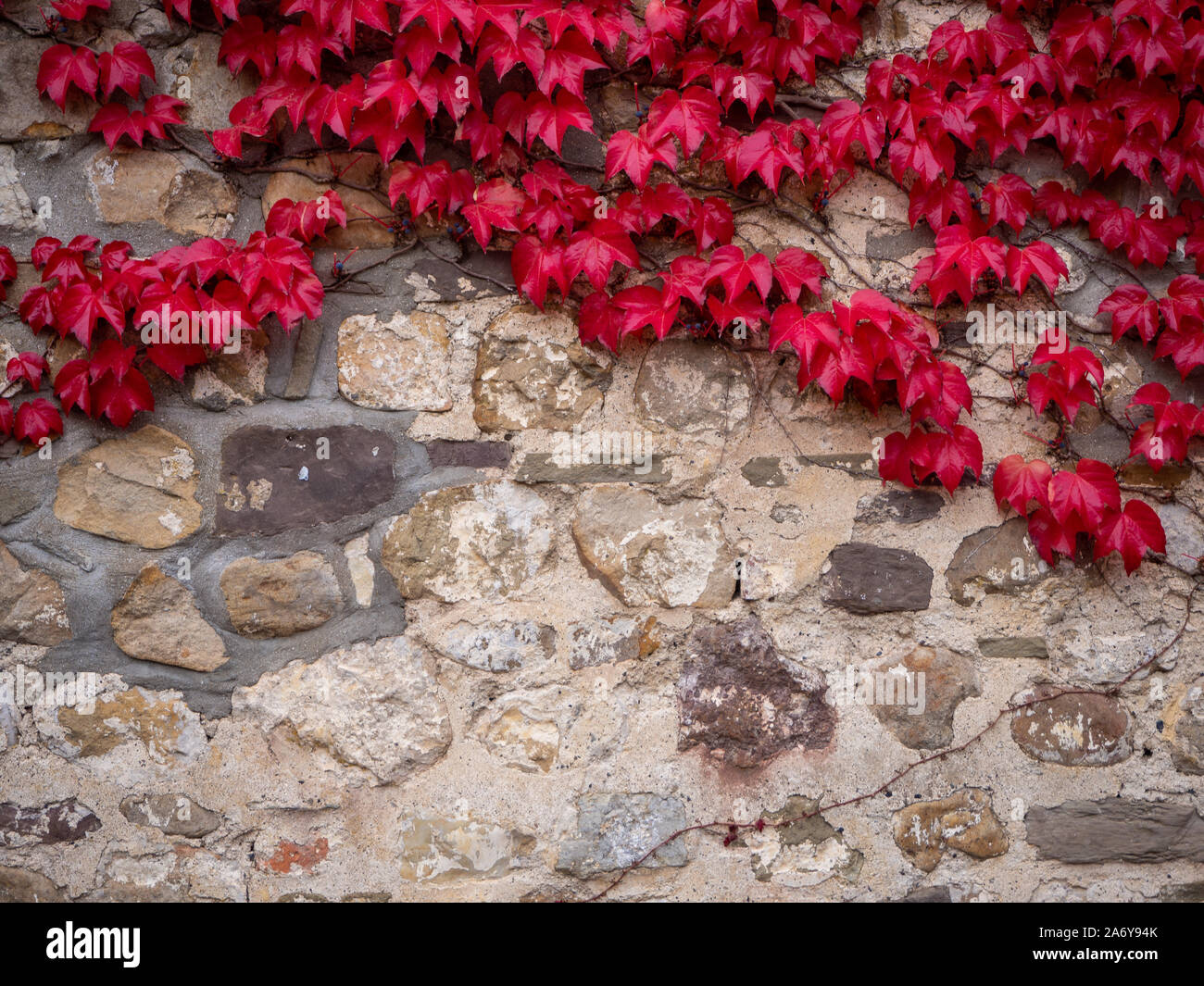 Brick foliage hi-res stock photography and images - Alamy