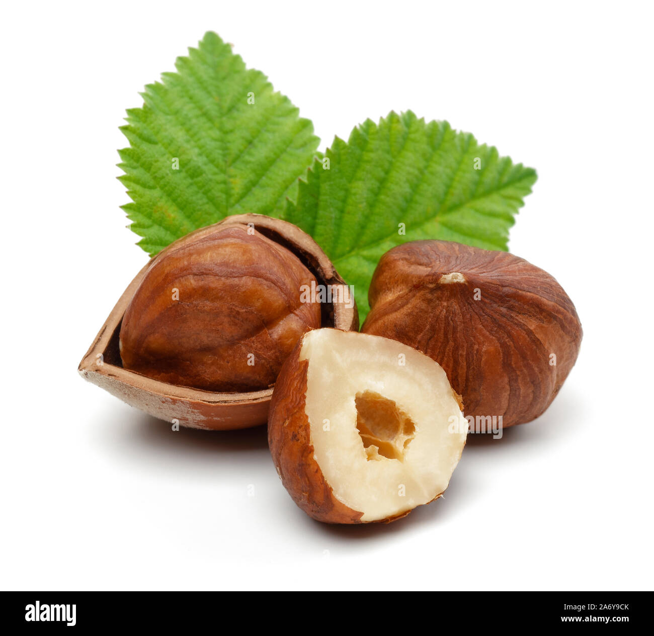 Group of hazelnuts with green leaves isolated on white background Stock ...