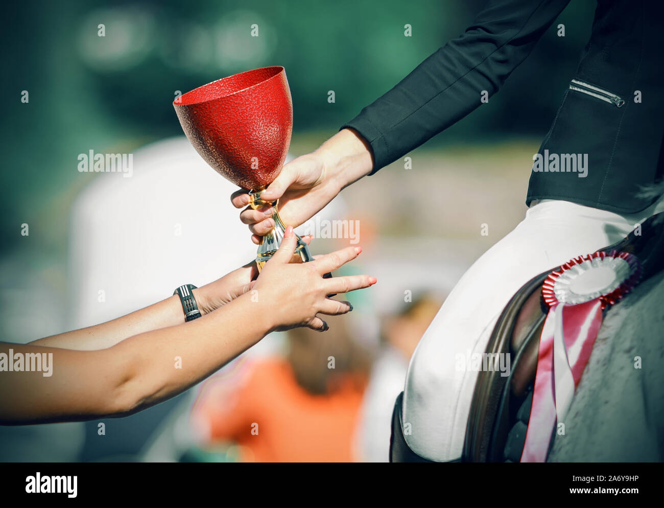 Equestrian trophy hi-res stock photography and images - Alamy