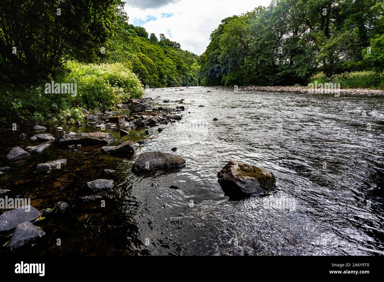 Summer View of the River Torridge: Looking Up River in Reduced Flow ...