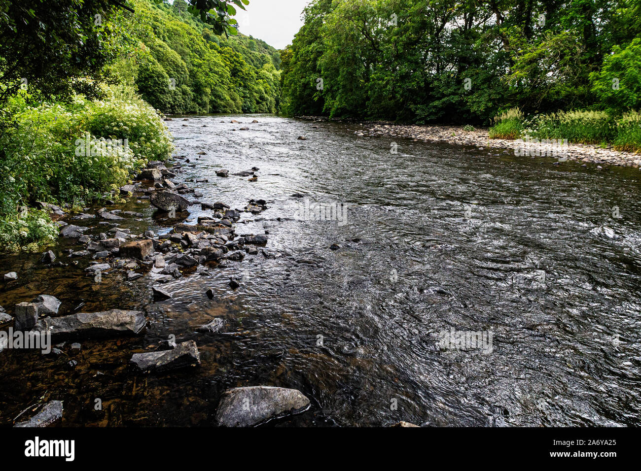 Biosphere river hi-res stock photography and images - Alamy