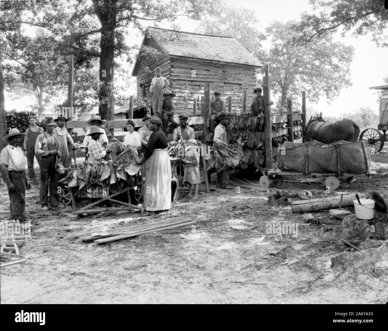 Young peron portrait hi-res stock photography and images - Alamy