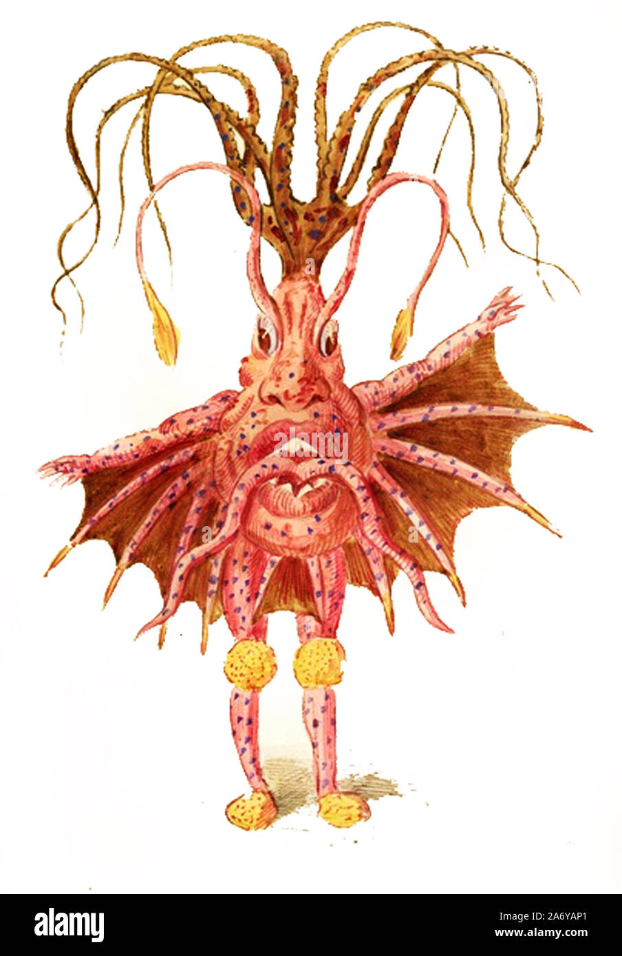 vintage anthropomorphic creature illustration Stock Photo - Alamy