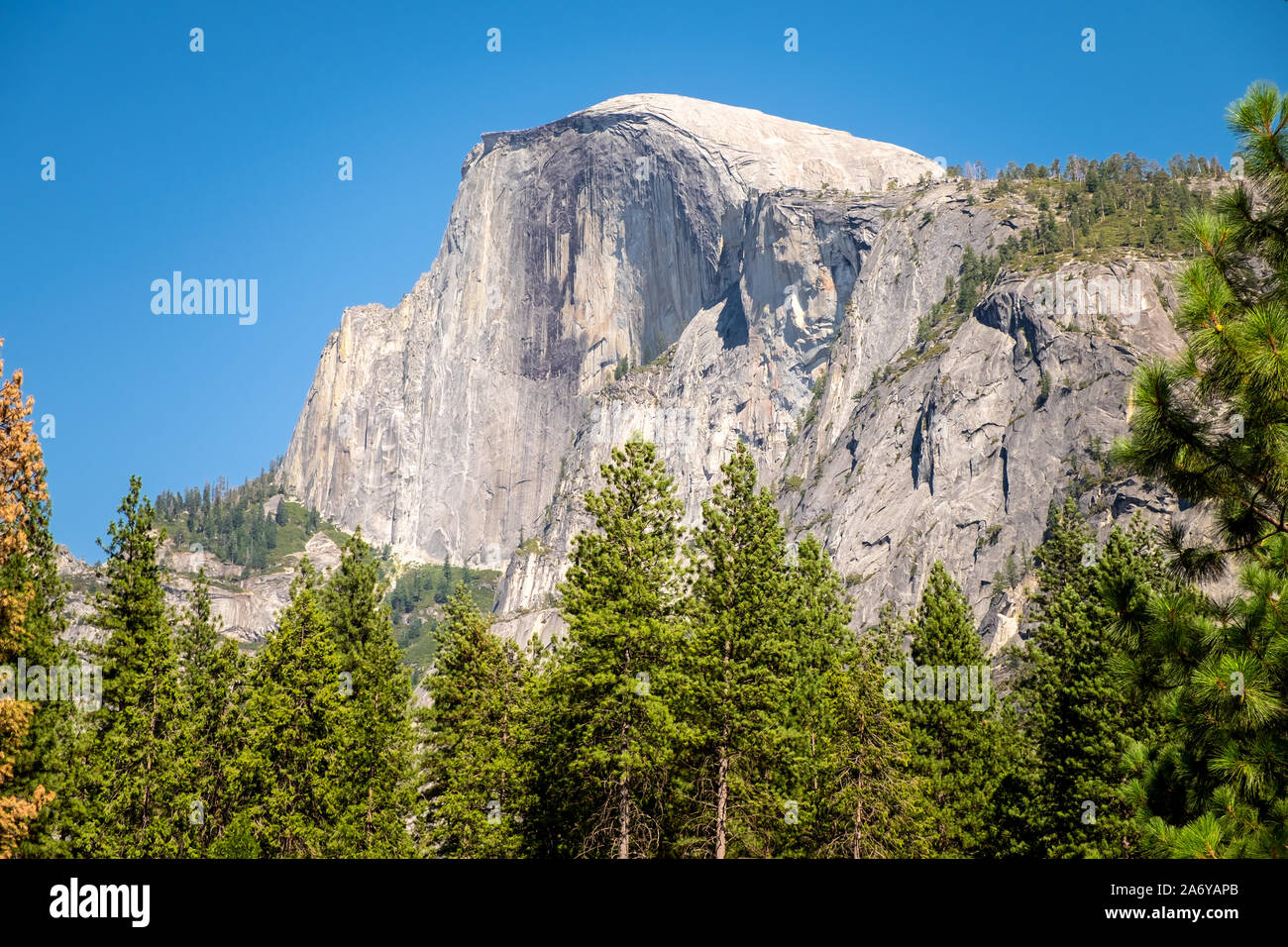 Yosemite half dome summer hi-res stock photography and images - Alamy