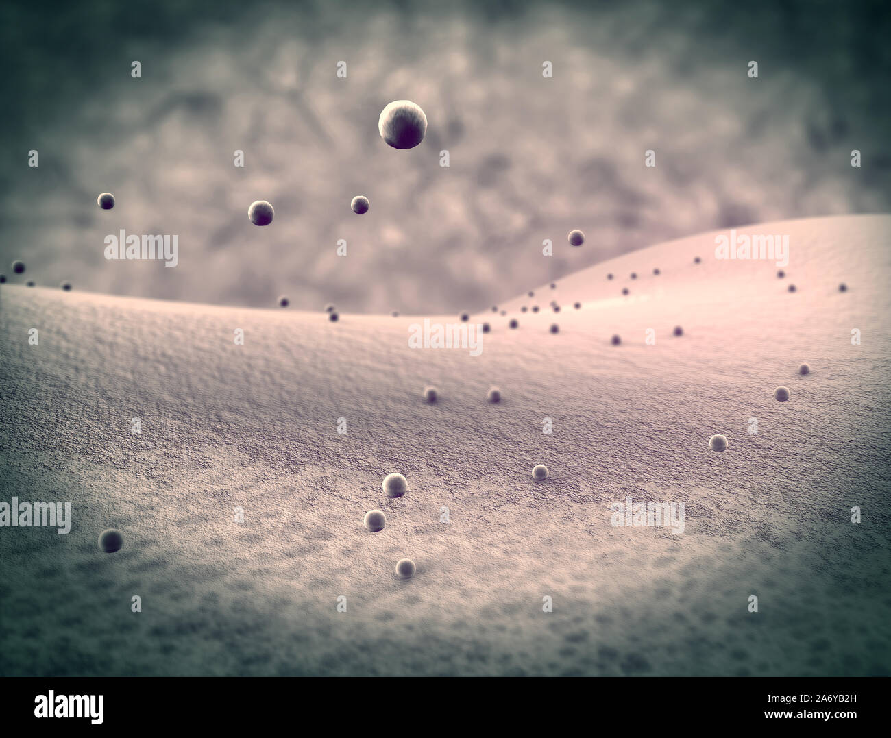 action of the human immune system, field of cells, macrophages attack ...