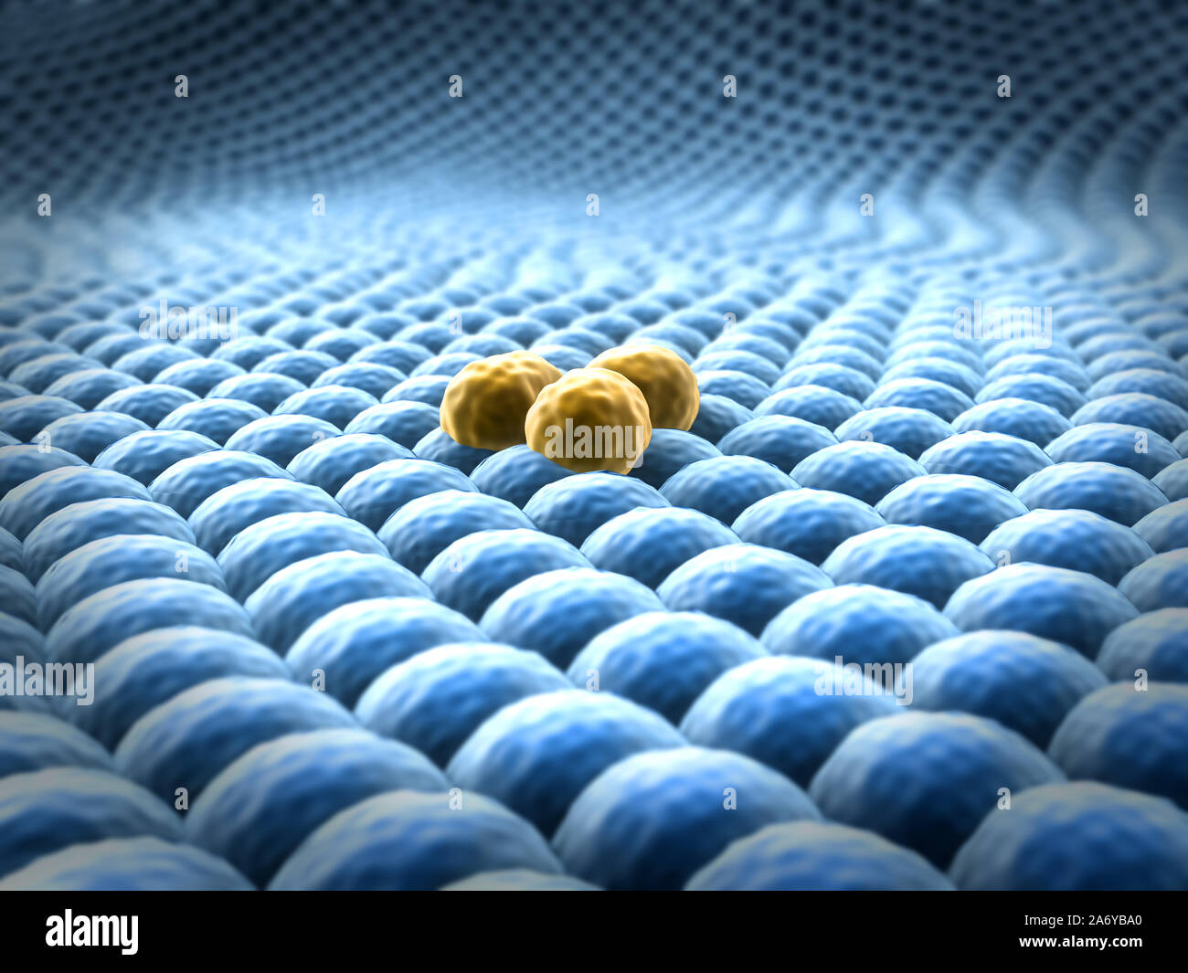 multiplication of cells, Microscopic image of cells, division of cancer ...