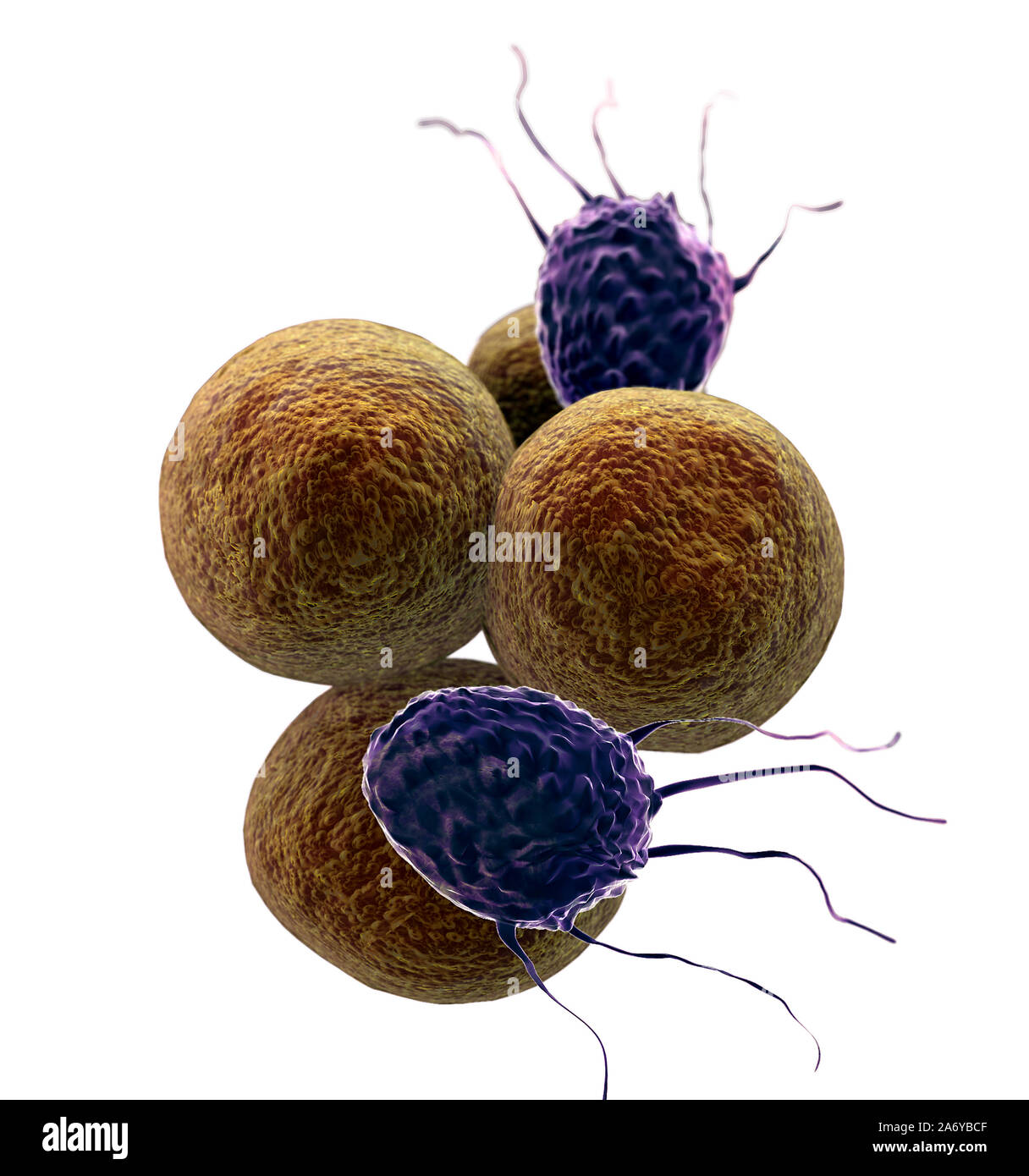 3d rendered cancer cell, Cancer cell and Lymphocytes,T-lymphocytes ...